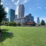 Clt Guide » First Ward Park